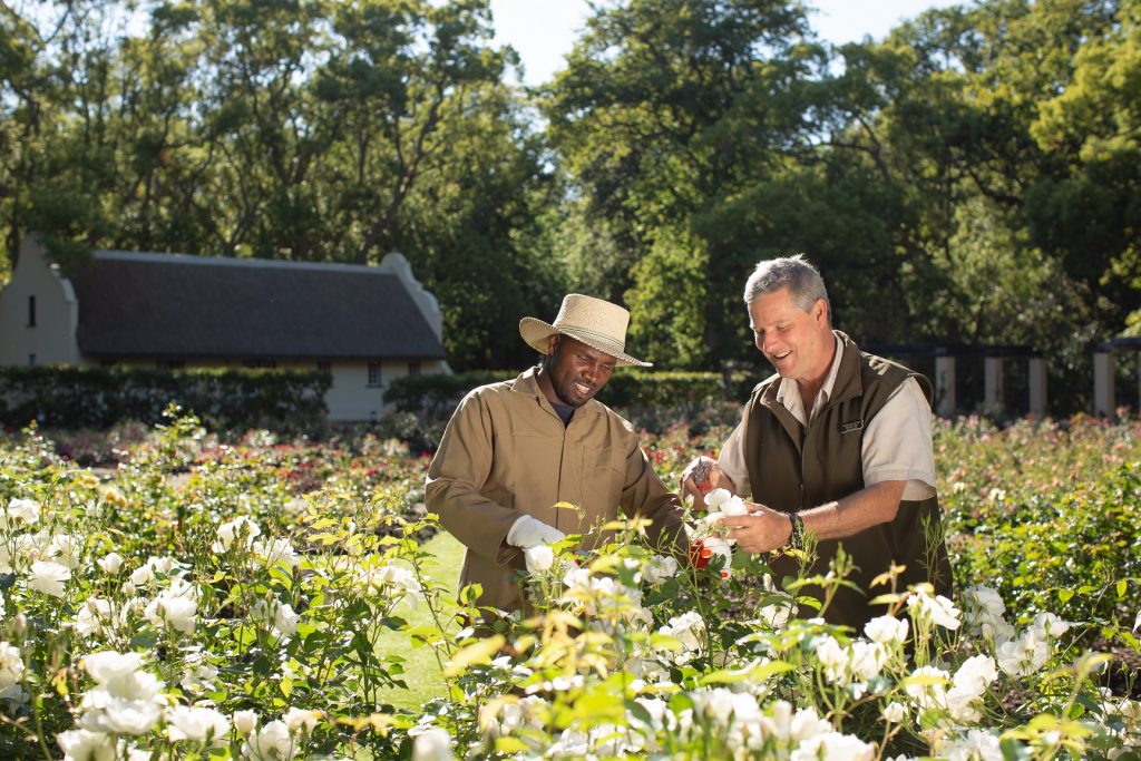 Vergelegen plans gorgeous Garden Weekend | SA Garden and Home