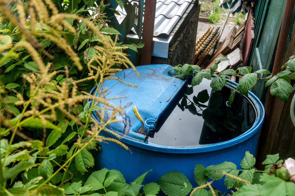 10 Ways To Make Your Garden Greener | SA Garden and Home