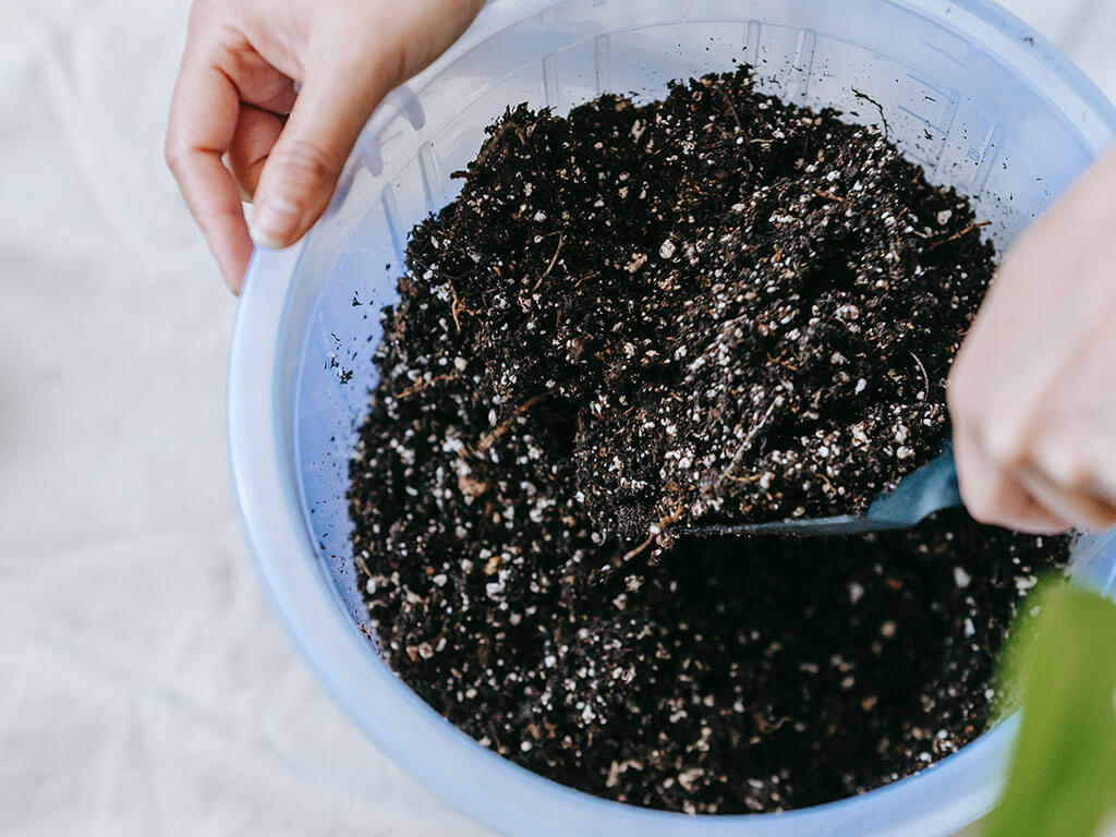 Find the perfect Wonder plant food for common plant nutrition ...