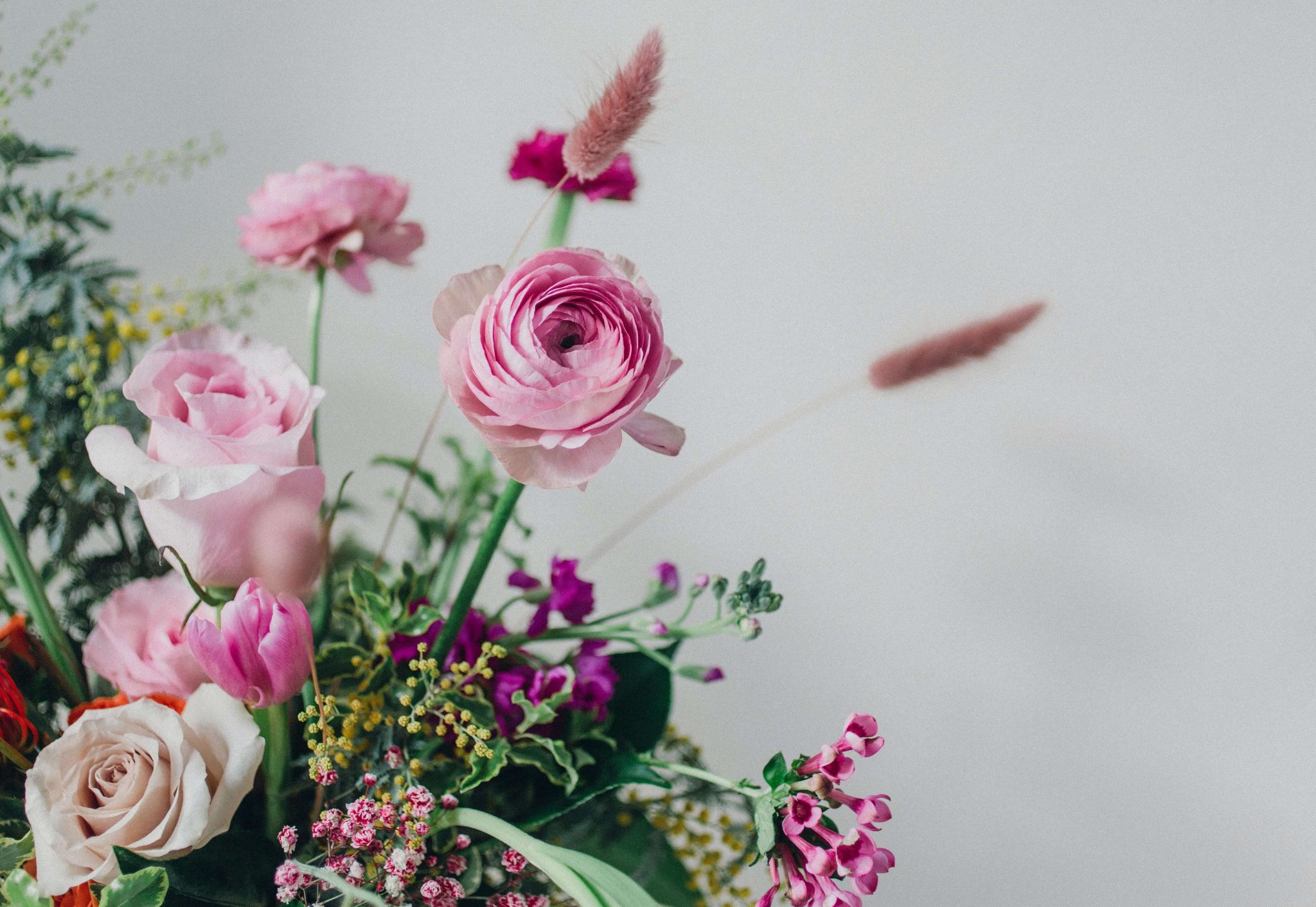 5 Flowers that symbolise gratitude | Bona Magazine