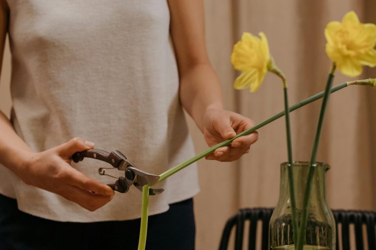 8 Tips for cutting flowers from your garden | SA Garden and Home