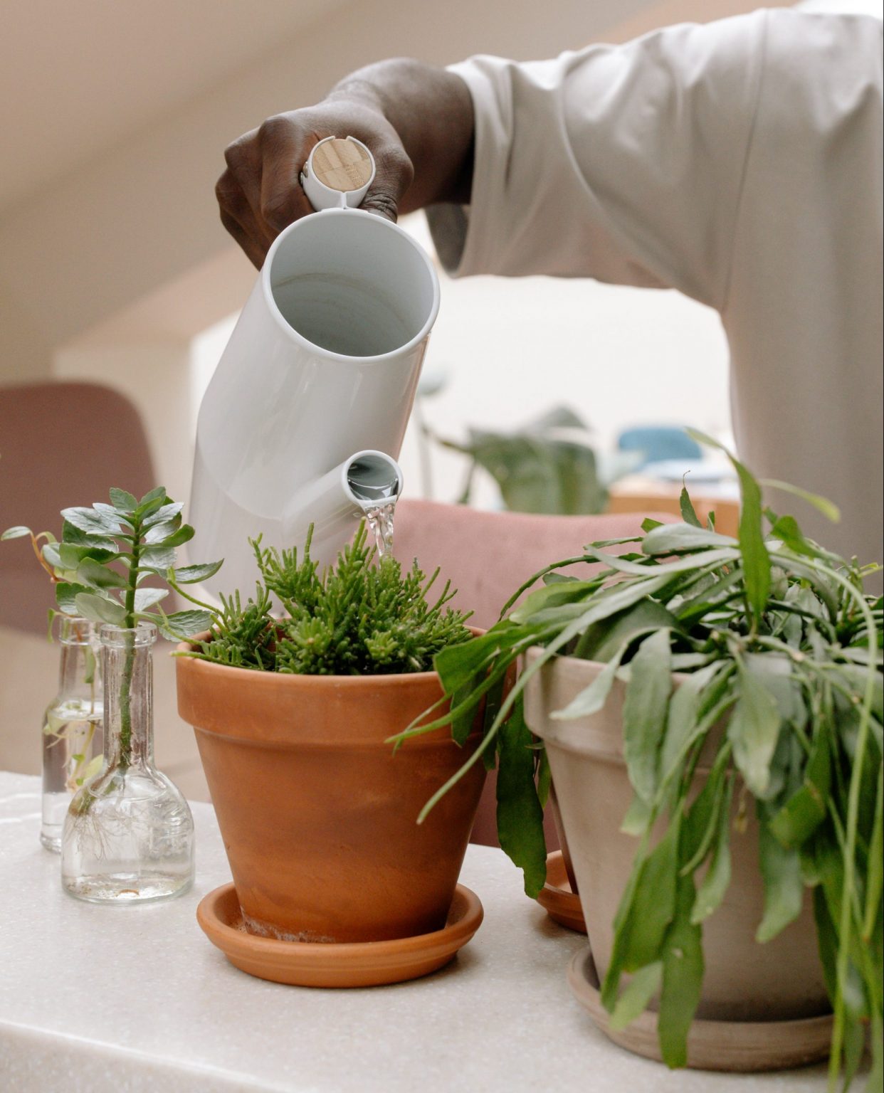 Should you water your plants less in winter? | Bona Magazine