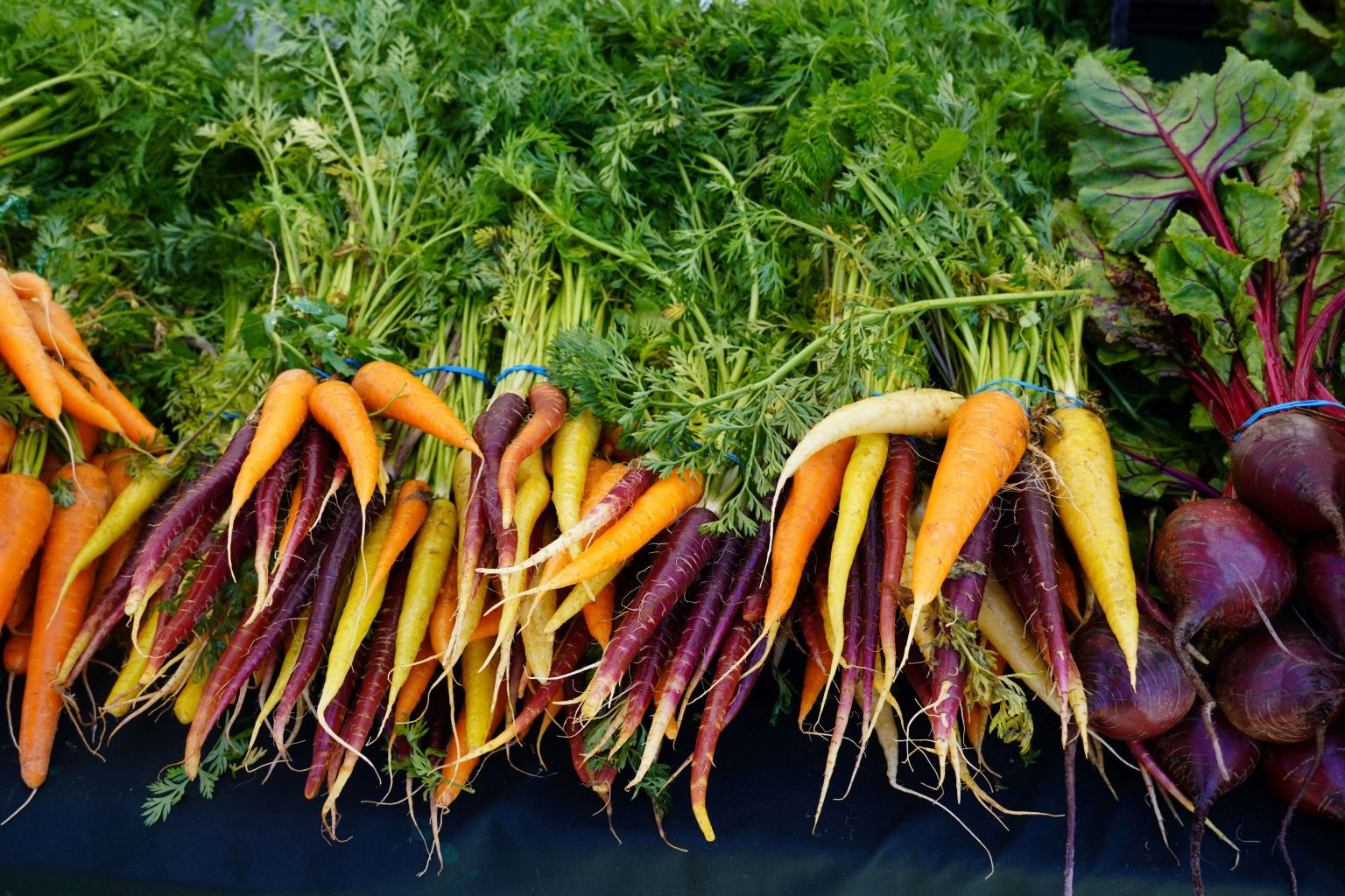 Vegetables to start planting in Autumn | SA Garden and Home