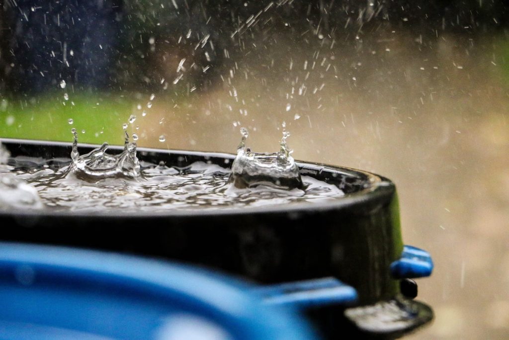 10 Smart water-saving tips for your home and garden | SA Garden and Home