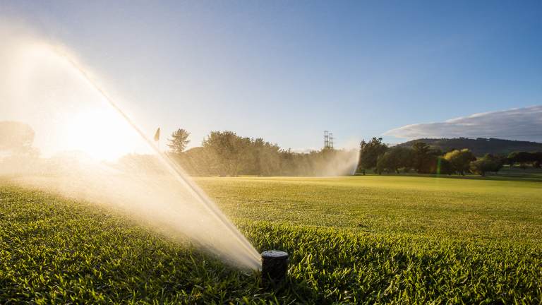 Agrico: your home garden's trusted irrigation partner | SA Garden and Home
