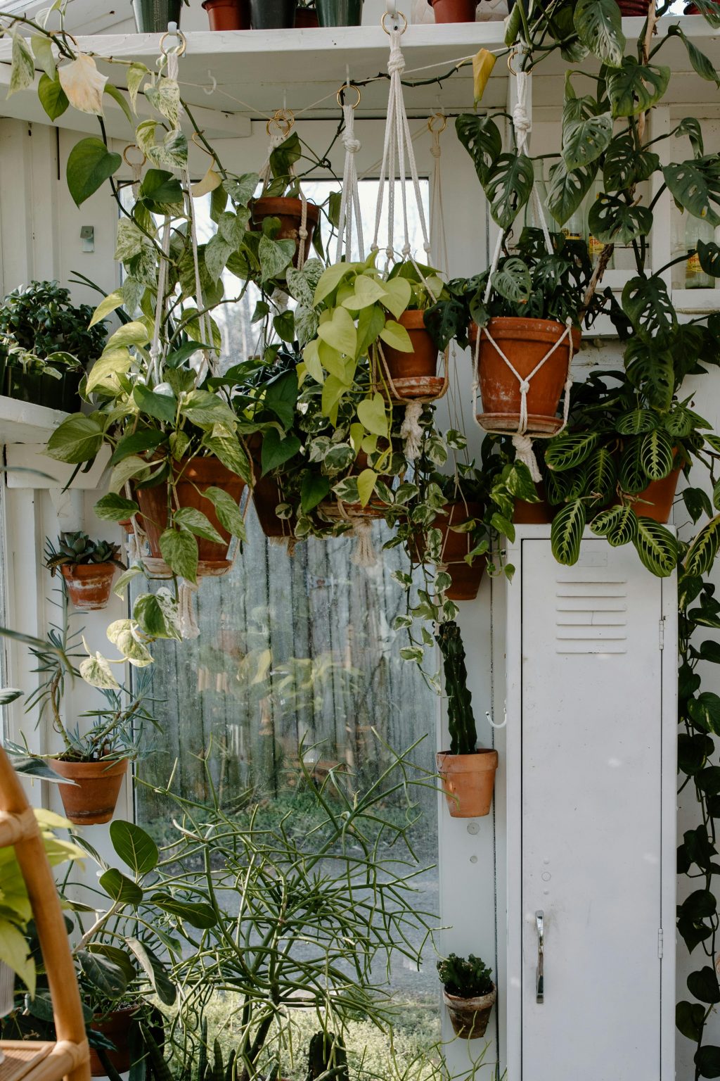 Easy maintenance tips for vertical gardens | SA Garden and Home