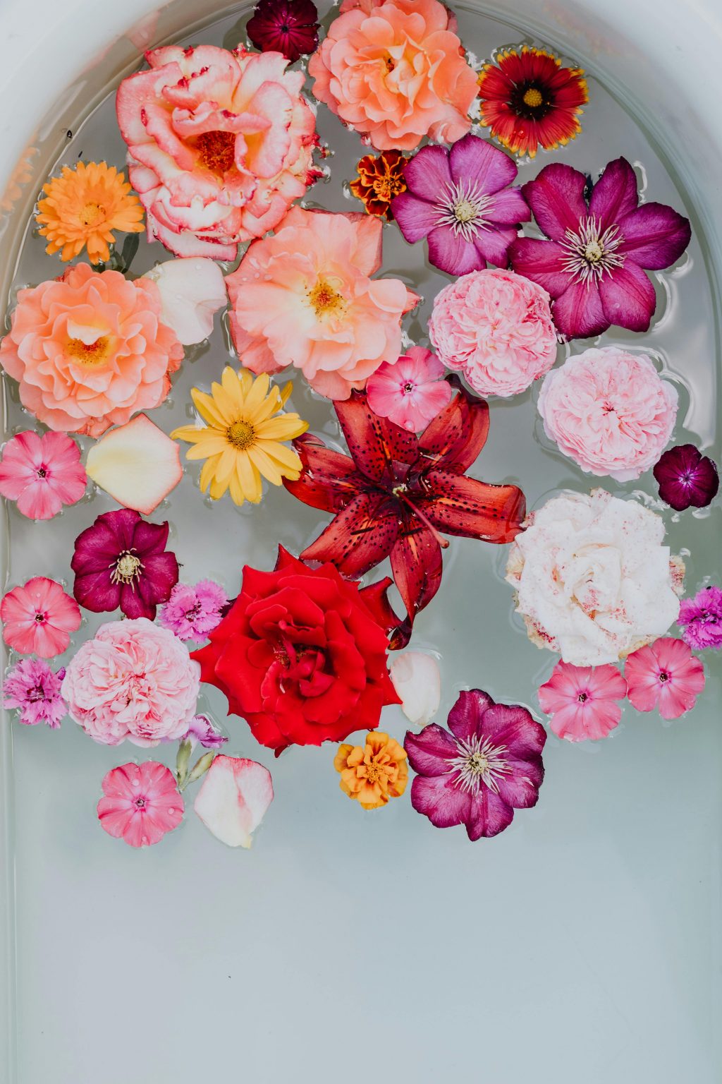 The ultimate guide to rose water: benefits and DIY instructions | SA ...
