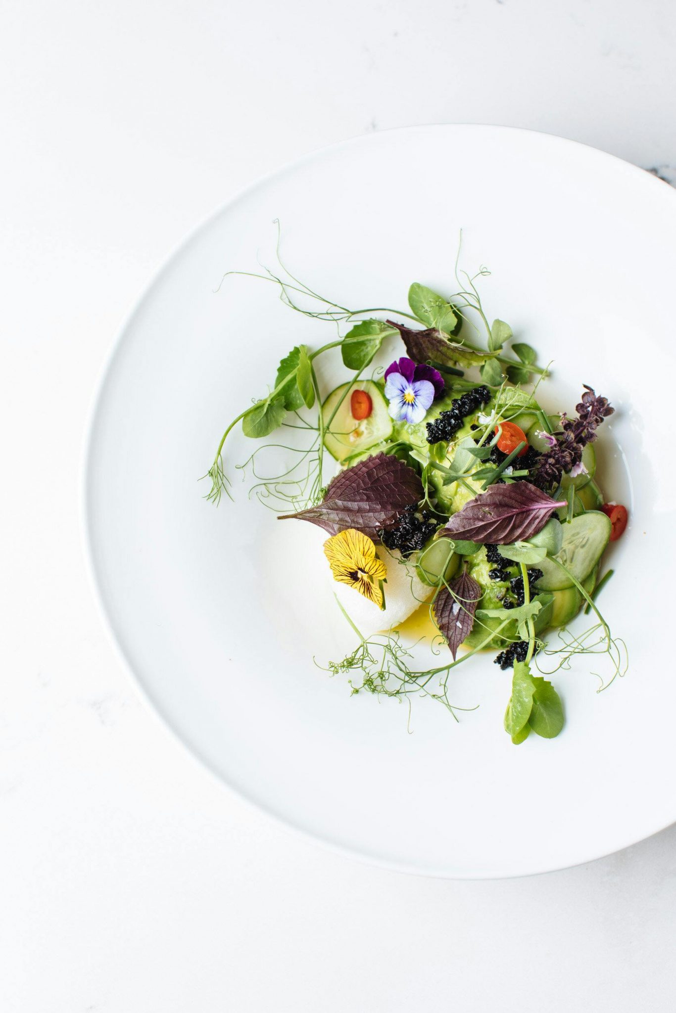Your guide to edible and non-edible flowers | SA Garden and Home