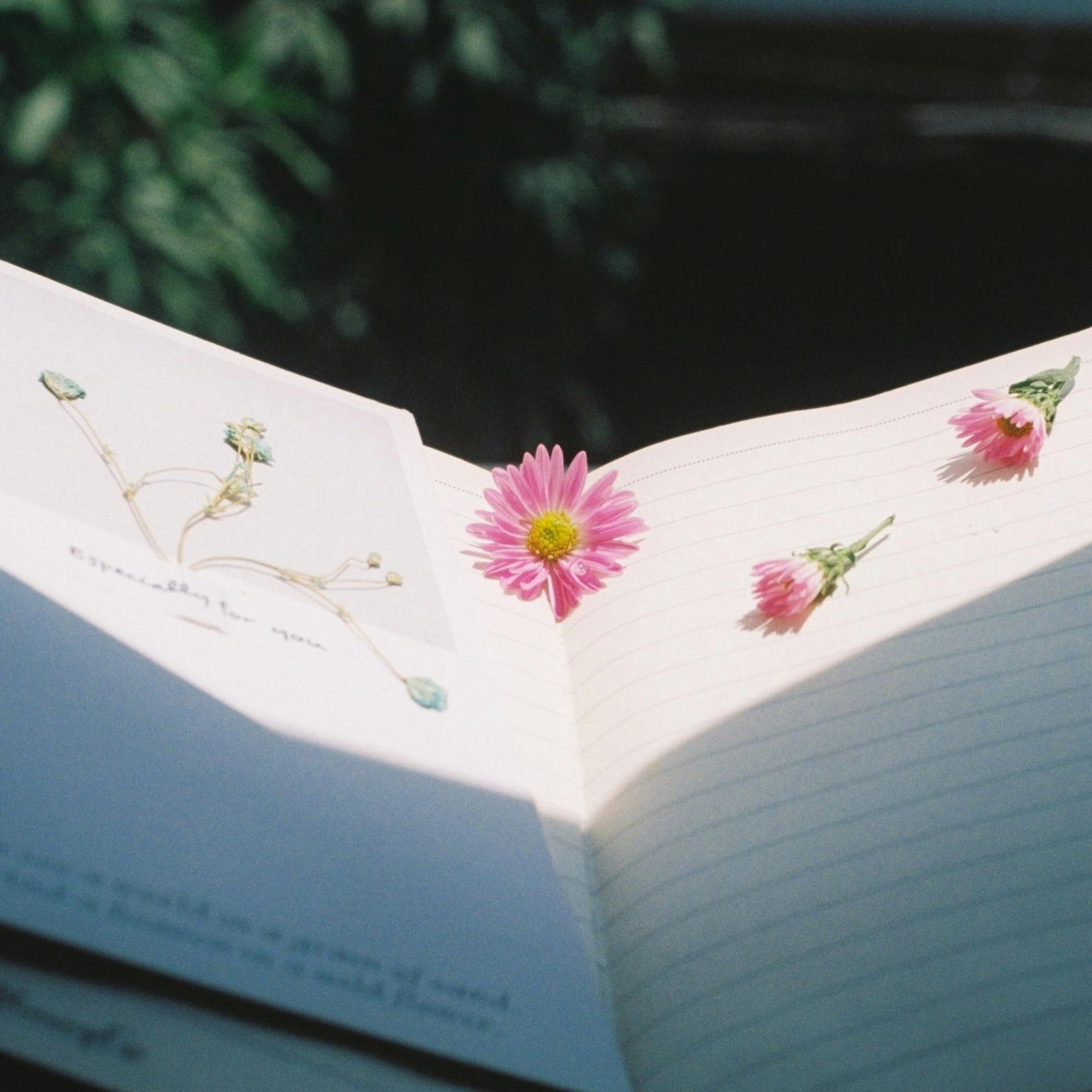 Flower preservation tips: 4 methods | SA Garden and Home