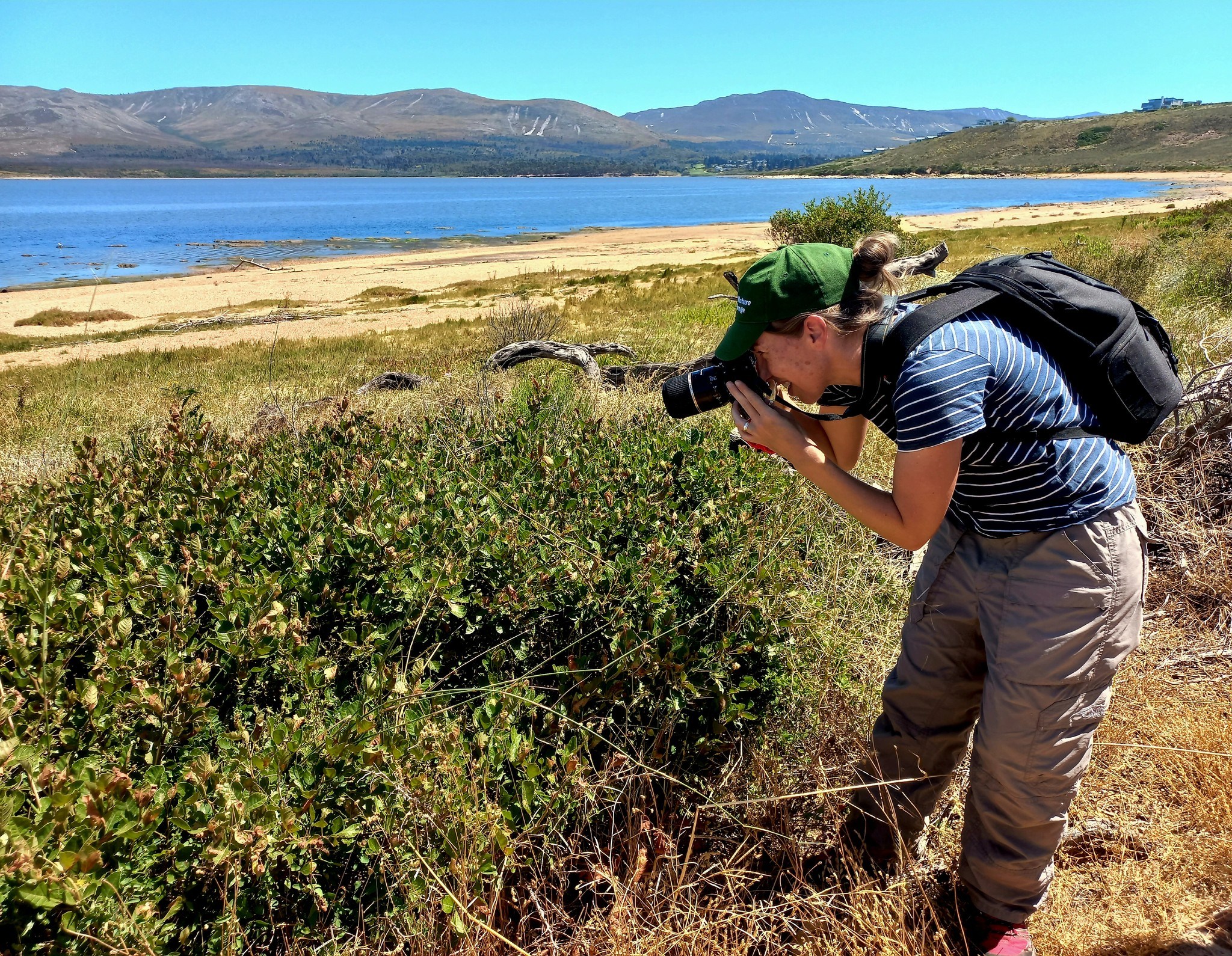 Join Cape Town’s biodiversity blitz as City Nature Challenge returns ...