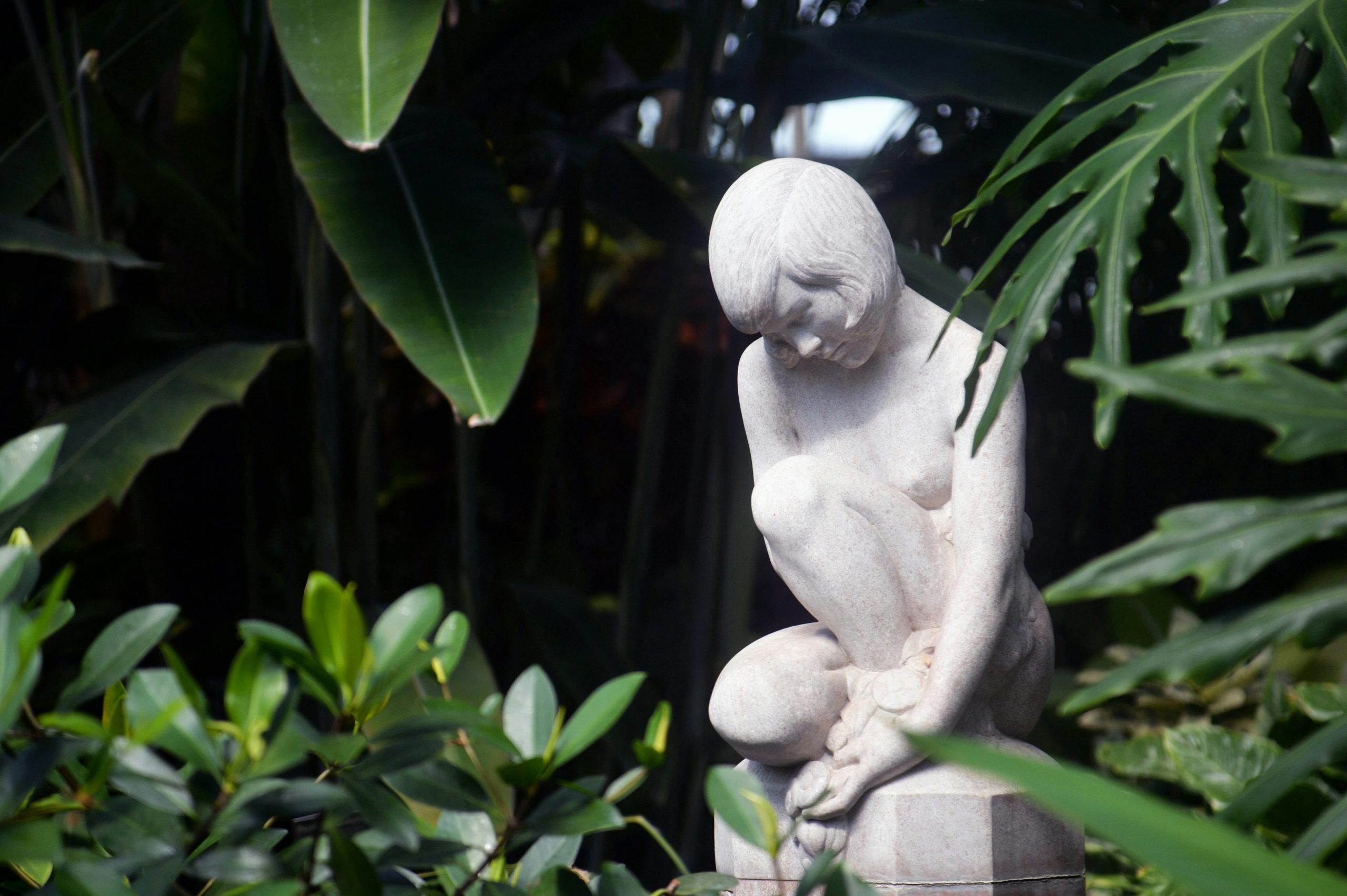 Transform your garden with statuesque elegance: Enhance outdoor charm ...