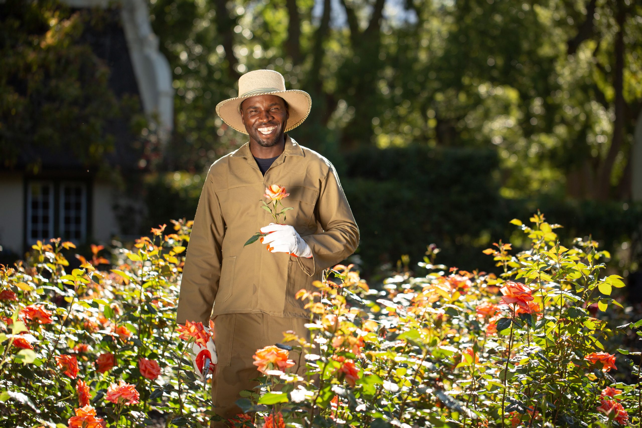 Things to do: Beautiful blooms at Vergelegen