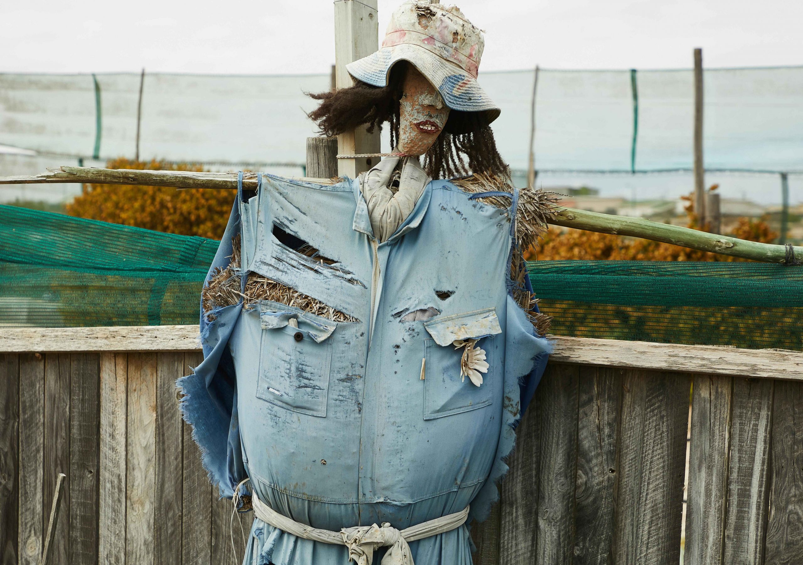 Create your own scarecrow: A complete DIY guide | SA Garden and Home