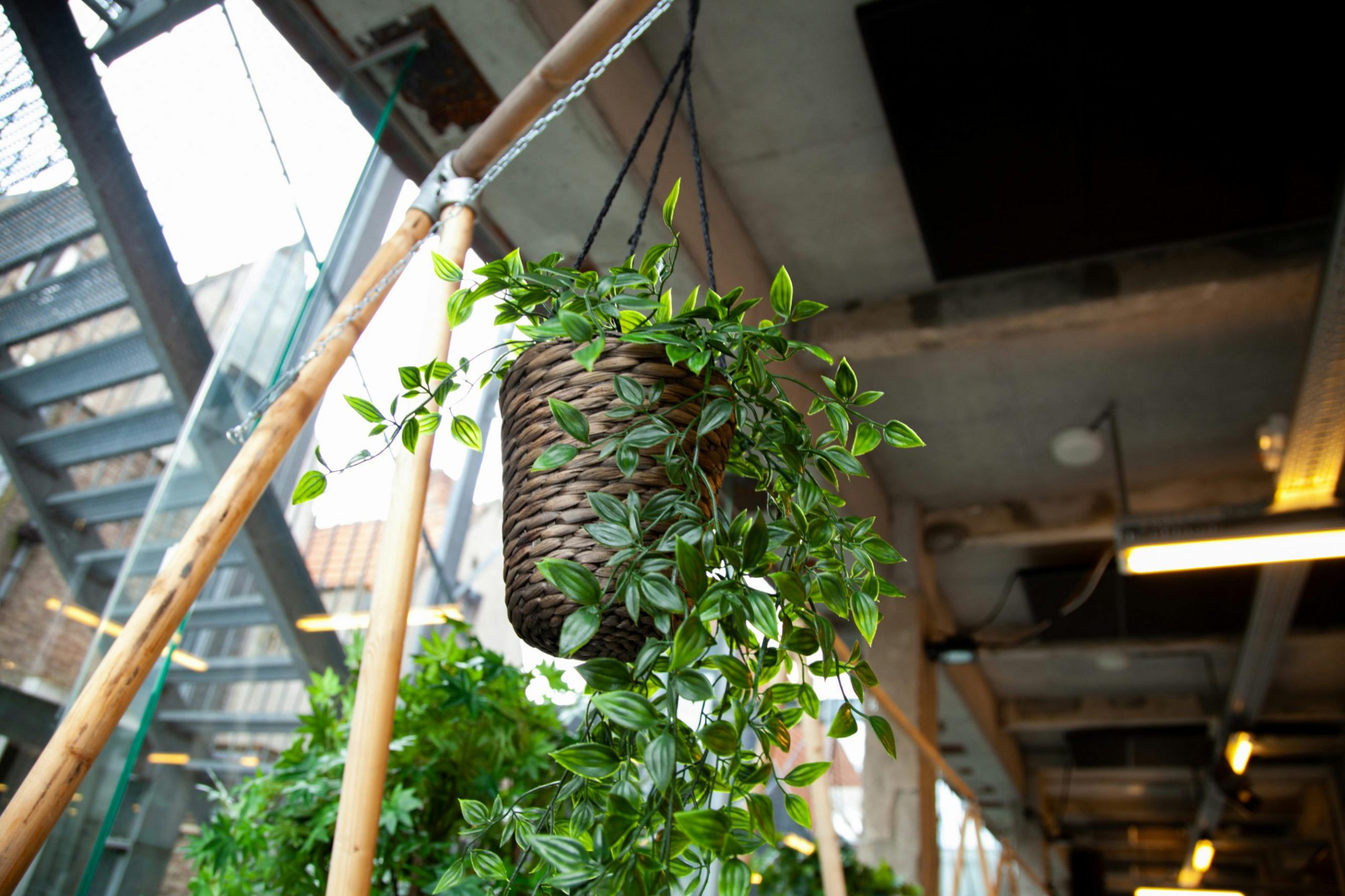 A beginner's guide to hanging your plants with ease | SA Garden and Home