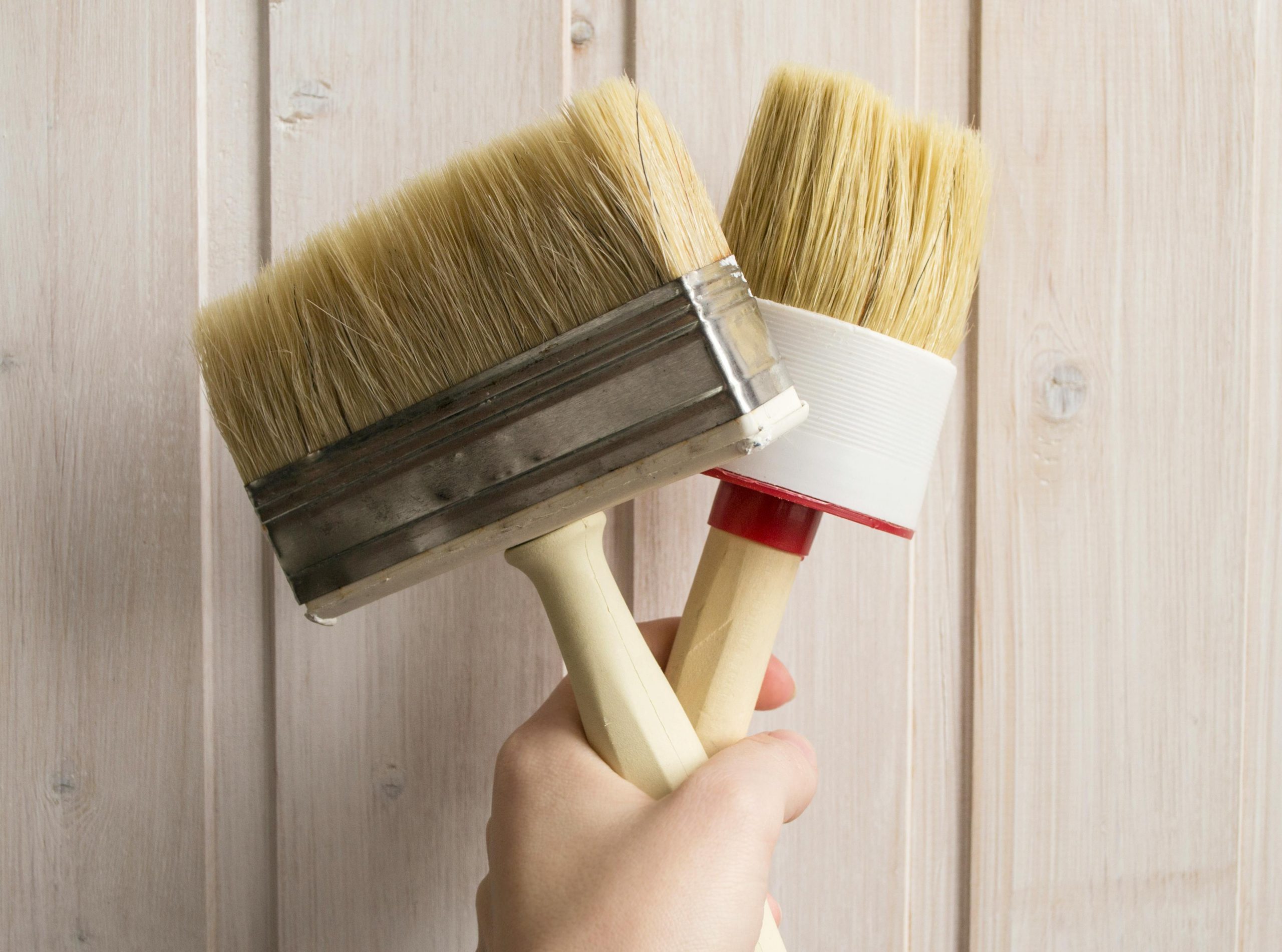 Effective methods to clean your paint brushes after DIY projects | SA ...
