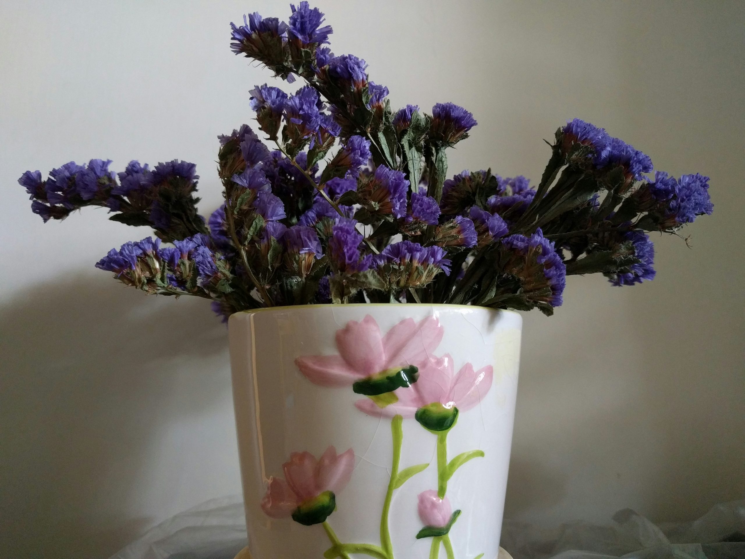 Overcome overstimulation: Discover the best plants for serenity | SA ...