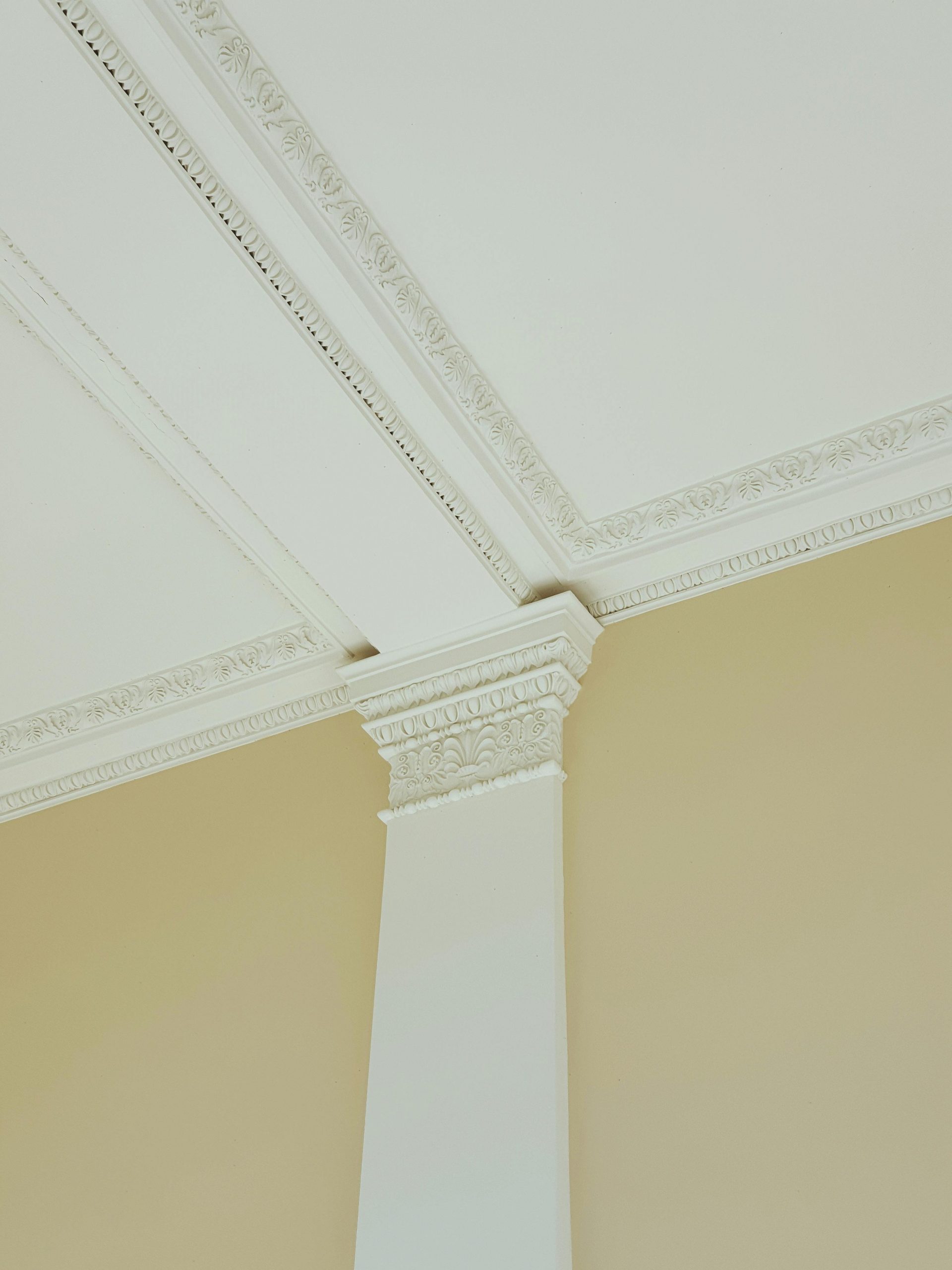 How to get rid of mould on your ceiling | SA Garden and Home