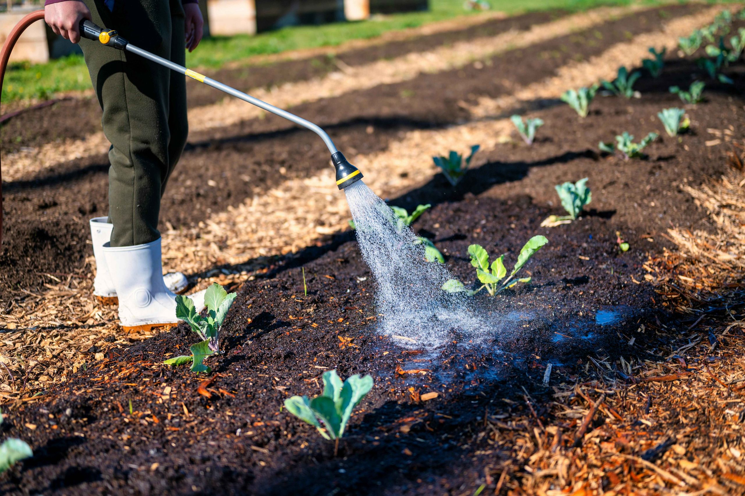 Common mulching mistakes and how to fix them | SA Garden and Home